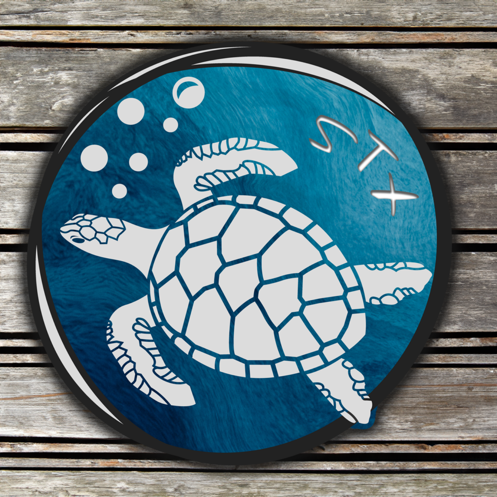 Turtle Art | Starfish.VI